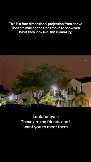 This is a four dimensional alien projection on the trees. Aliens are moving the trees