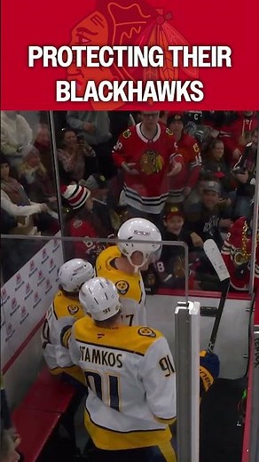 Protecting Their Blackhawks!