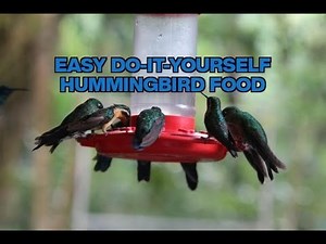 Hummingbird Food- Easy Do-It-Yourself Recipe