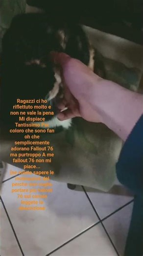 Vi prego capitemi :)