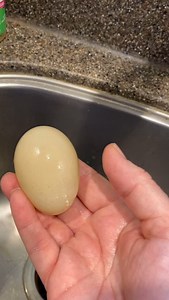 3.3K views · 10K reactions | Raising your own chickens brings so many...