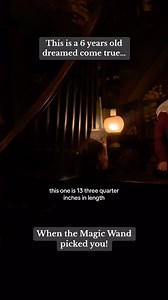 Part3 of a 6 years old big fan of Harry Potter #harrypotterworld #harrypotterfan #harrypottermagic #harrypotterinorlando #islandofadventuresorlando #magicwand #magicwandkeeperharrypotter #excitment #ollivanders #ollivanderswandshop #fypreels | Ville Family