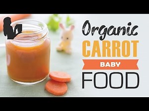 Organic Carrot Baby Food Recipe by Blender Babes