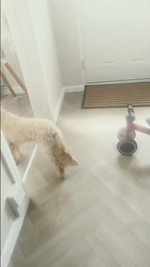 Quick Apollo fire alarm test