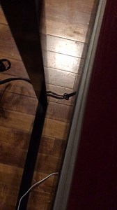 17K views · 285 reactions | me: im gunna stay in and study tonight my friends: we're gunna make regrettable poor life choices me: | Funny Videos | Facebook