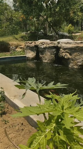 "✨🍲 Dive into a world where flavor meets compassion at our Ubud vegan...