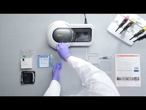Western Blot Transfer Protocol with Invitrogen iBlot 2 System