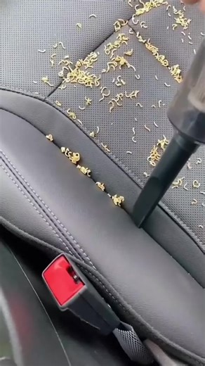 I didn't think I needed this... until I tried it. Now I use it everywhere. Get yours today.