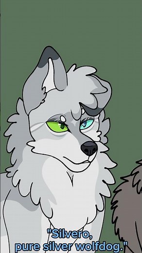 The wolfdog brothers' first wolf encounter | OCs | Scarlet River #oc #wolf #wolfdog #wolves #ocs