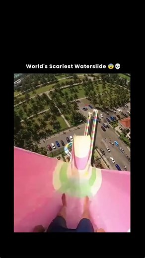 Extreme Waterpark Experience: Craziest Feelings