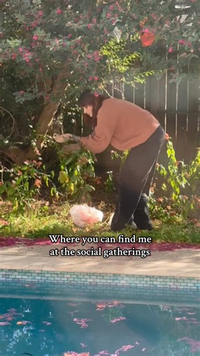 Slightly Knowledgeable Gardener on Instagram: "I’m always peepin the plants 👀"