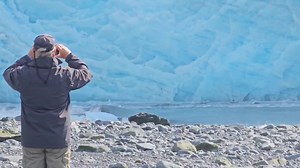 Want to get close to the action? Take a look at what our guests aboard the Safari Explorer witnessed during a recent trip. | UnCruise Adventures