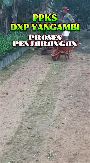 Supandi (@pandioman)’s videos with Suling Merdu - Suling Sunda