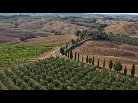 Spring Meadow Morning – Gentle Piano & Guitar for Calm Energy