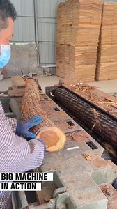 This big machine works on tree logs like they were toothpicks | DIY Panda