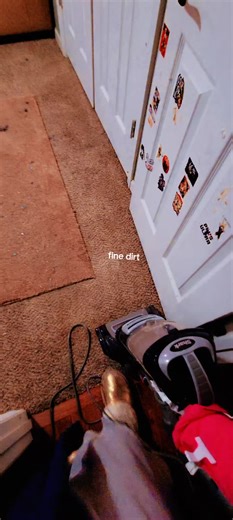 Satisfying Fine Dirt Vacuuming ASMR Experience