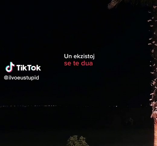 Stunning Nighttime Garden with Illuminated Palm Tree