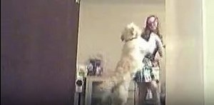 Skirt-wearing girl seduces her dog and gets fucked hard