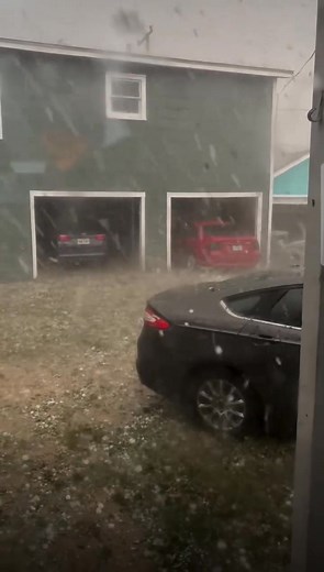 395K views · 3.6K reactions | Tatf, Texas | Monitor 5 Manantiales | Facebook