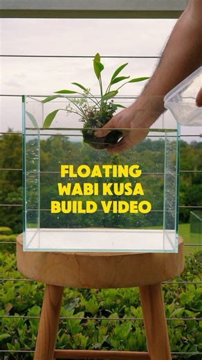 Quan Tran on Instagram: "A step-by-step guide on how I made a floating wabi-kusa ball aquascape. It doesn’t actually float but once the moss grows in it gives the illusion that the wabi-kusa ball is floating in the water. The wabi-kusa ball technique of growing aquatic plants on a substrate ball was developed by the late Takashi Amano. Popular in Japan I finally was able to recreate this myself. Materials needed: - Coir Peat (coco peat) - Sphagnum Moss (dried) - Aquasoil - Green Cotton Thread - 