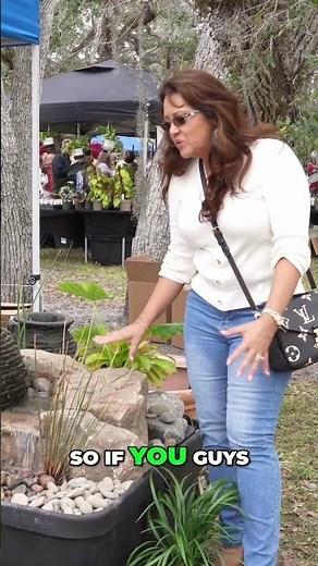 Mini WATER FEATURE Wonders You Won't Believe!