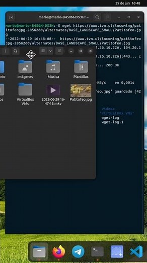 How to Download Files from the Linux Terminal | wget #SHORTS Command