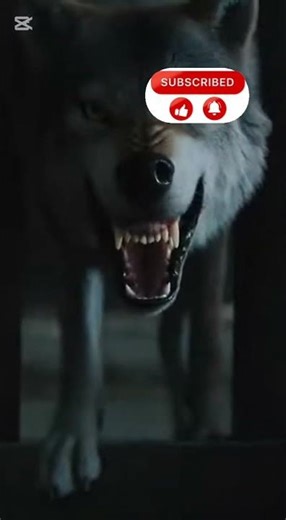 Dogs Saving Their Owners from Wild Attack