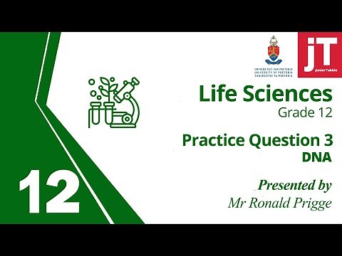 4. Gr 12 - Life Sciences - DNA - Practice Question 3