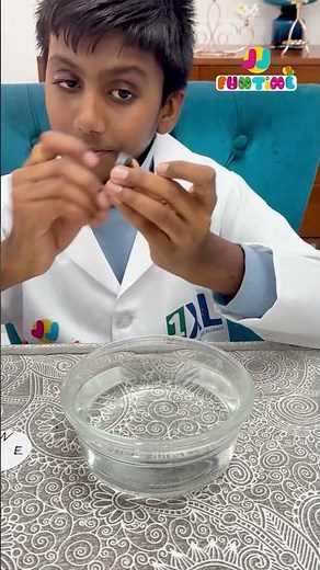 How to Make Your Own Compass | DIY Magnetism Experiment 🧭✨