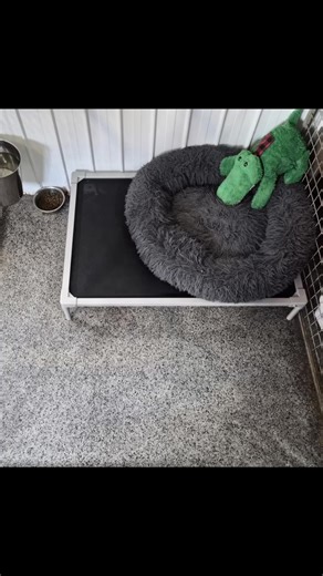 For those of you that have not had a tour of our kennel here this is what it looks like inside. We try and accommodate everyone's needs and make them comfortable. Many dogs like the comfort of a crate and others a pen. We have cots or beds in all of our pens and put your dogs beds and blankets on them. If your bedding gets dirty we have extras while we wash yours. Every dog has a kennel card with all their info and instructions on it to make it easy to manage. This is where your dog sleeps and r