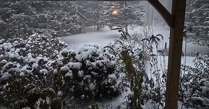 Free Patterns, Christmas /Winter Stitching, Orphan Blocks