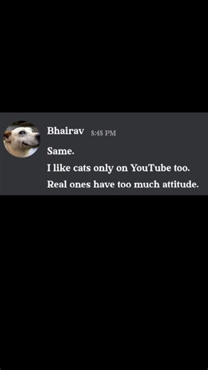 New Neighbour Alert ⚠️ #viralshorts #funnychats