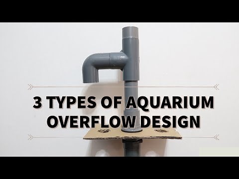 3 Easy aquarium overflow Design(easy & simple)