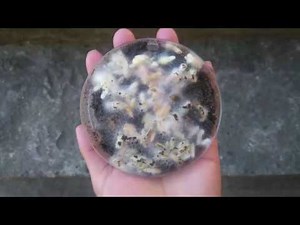 PRODUCCION DE TRICHODERMA