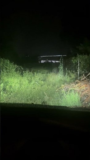 Lampu Philips LED H11 H4 H7 HB3 HB4 HIR2 100 watt #lampuledmobil #lampuledphilips #philips