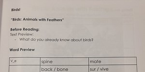 Multisyllabic Words: How I Help Students Unlock Statistical Learning