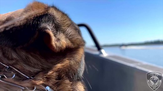 1.6K views · 99 reactions | Last week, our K-9 unit partook in their...