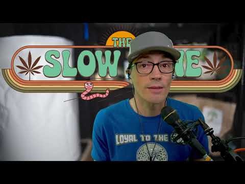 You harvest your plants too late! Find out why - Slow Lane Harvest Timing