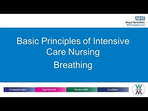 Basic Principles of Intensive Care Nursing, Breathing