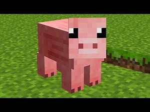 Cache cache, course de cochon & Splegg | Minecraft