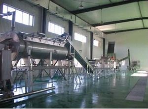 [Hot Item] Small Scale Frozen French Fries Making Machine