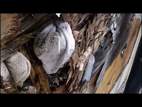 Replacement Window Installation in Stucco - Full Frame Removal Disaster WITH WORDS!