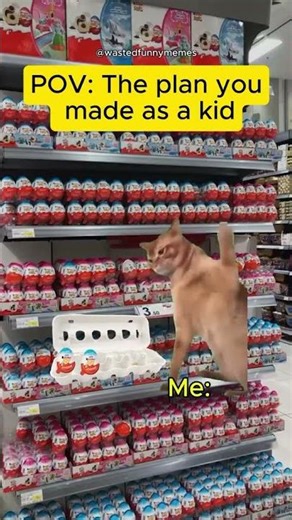 The Plan you made as a kid | cat video #shorts