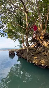 459K views · 6.9K reactions | ♥️C A H U I T A ♥️ ¿Playas con piscinas naturales? El Caribe es la respuesta. Visualizate un fin de semana ahí. Playa Negra, Cahuita, Talamanca, Limón.   @vamosaturistear | A Dónde Ir Costa Rica | Facebook