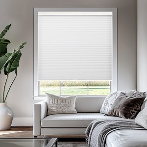 Chicology Cordless Cellular Shade, Light Filtering, Morning Mist, 30"W X 64"H