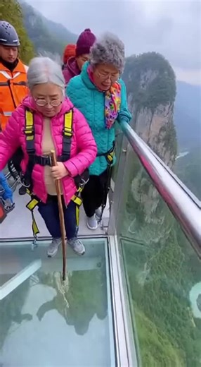 Top Creator Support Programs for You