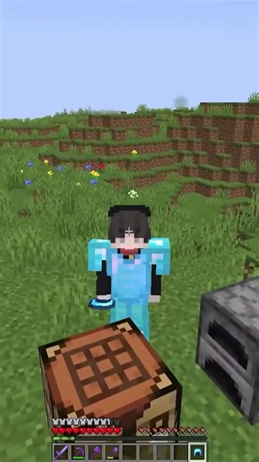 Armor protection 10 #minecraft