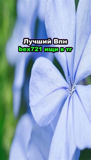 ТОП 3 ЛУЧШИХ БЕСПЛАТНЫХ VPN ДЛЯ ANDROID! 3