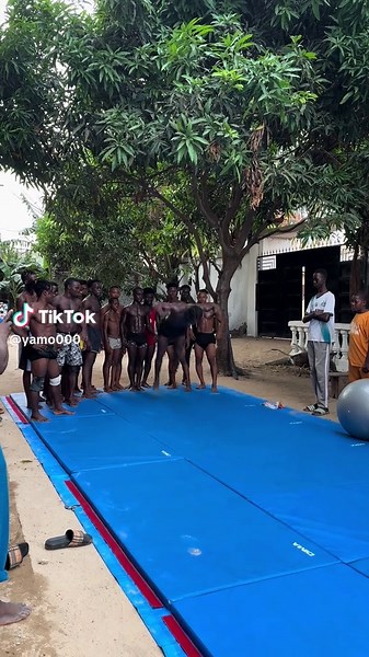 Exploring the Excitement of Circus School Training