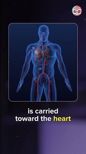 What Are the Arteries and the Veins? | BYJU'S - Class 6, 7 & 8